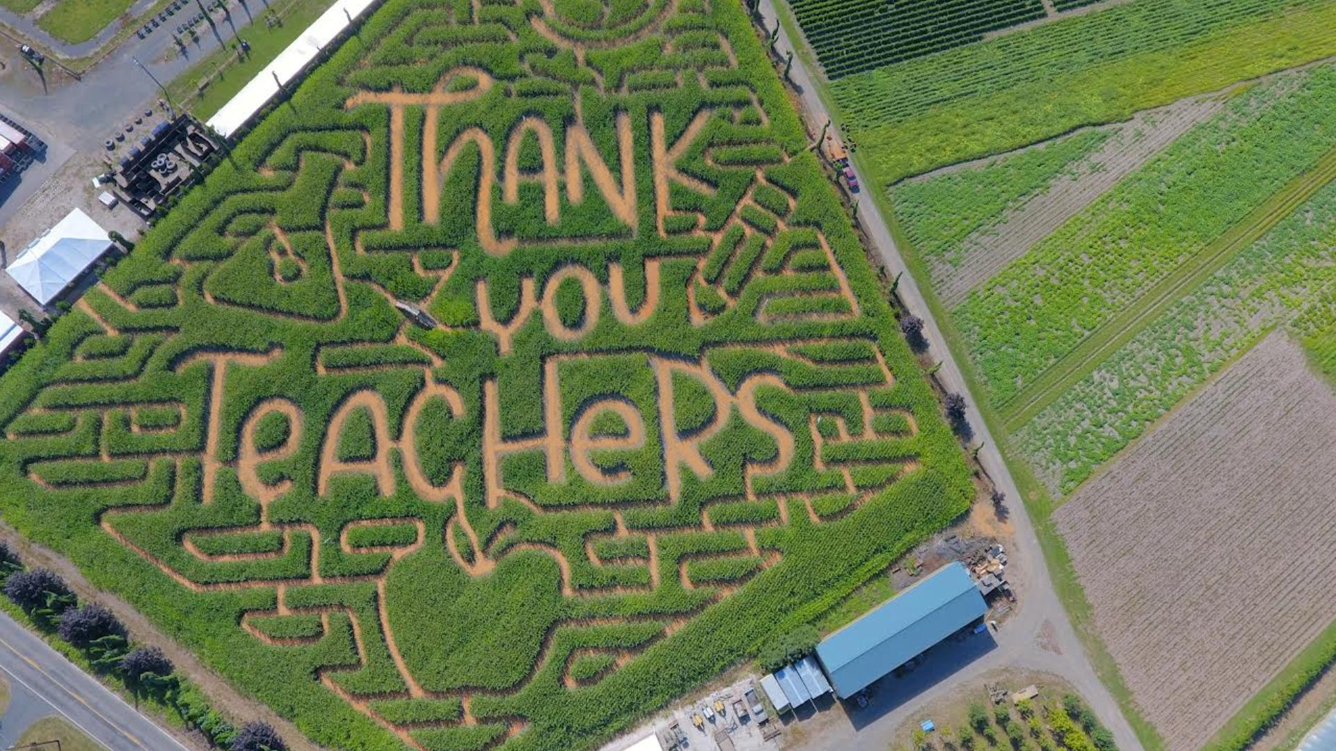Bella Organic's dedicates 2024 corn maze to Oregon teachers | kgw.com