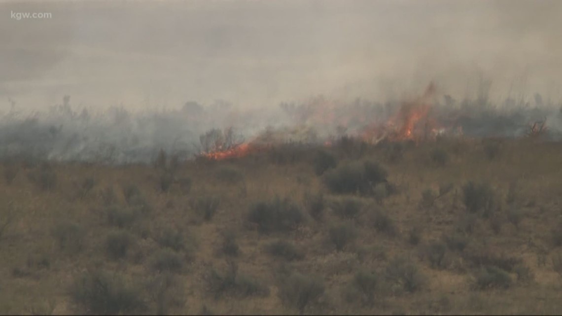 South Valley fire near Dufur has burned 20,000 acres | kgw.com