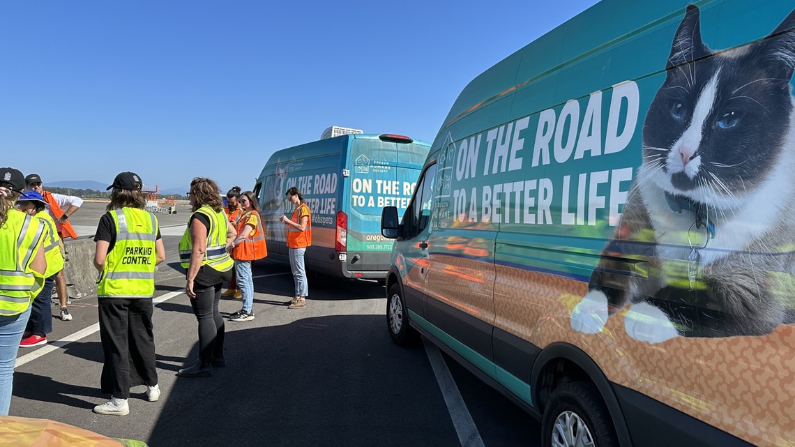 Maui animals arrive at PDX airport after wildfires | kgw.com