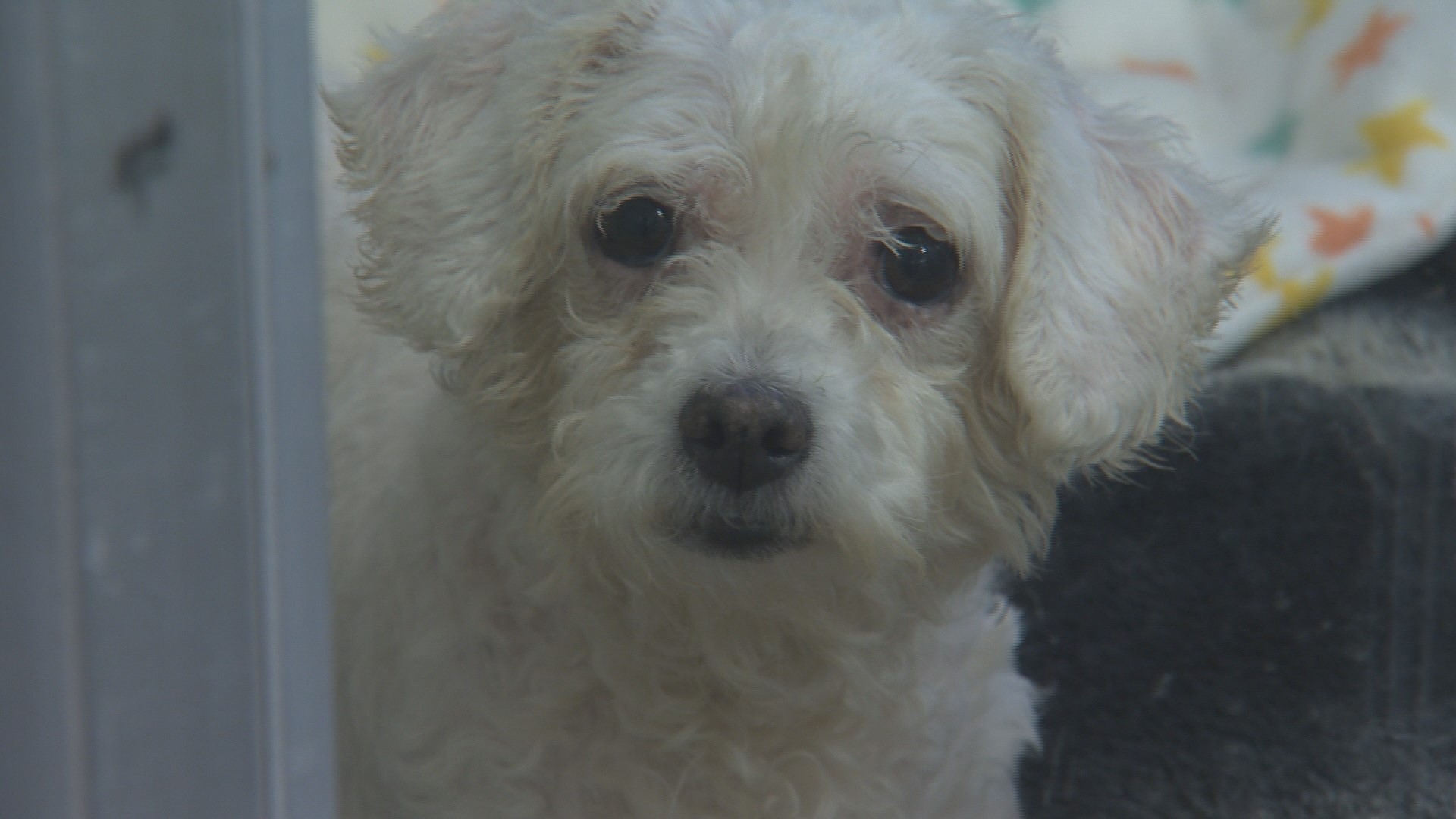 Tim Gordon, KGW Reporter | kgw.com