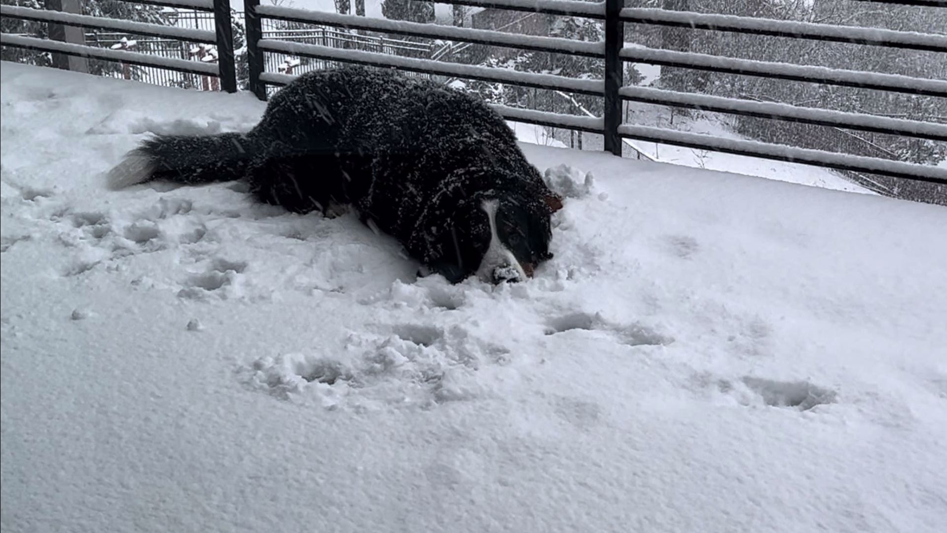 Winter storm in Oregon: Record snow falls in Portland | kgw.com