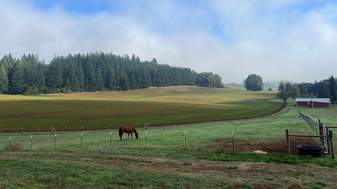 Oregon group offers hope through horses | kgw.com
