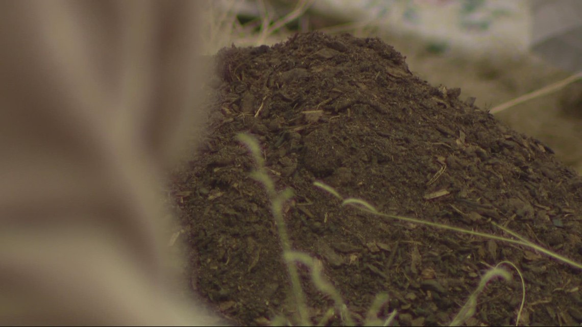 Human composting gains popularity as eco-friendly way to be laid to ...