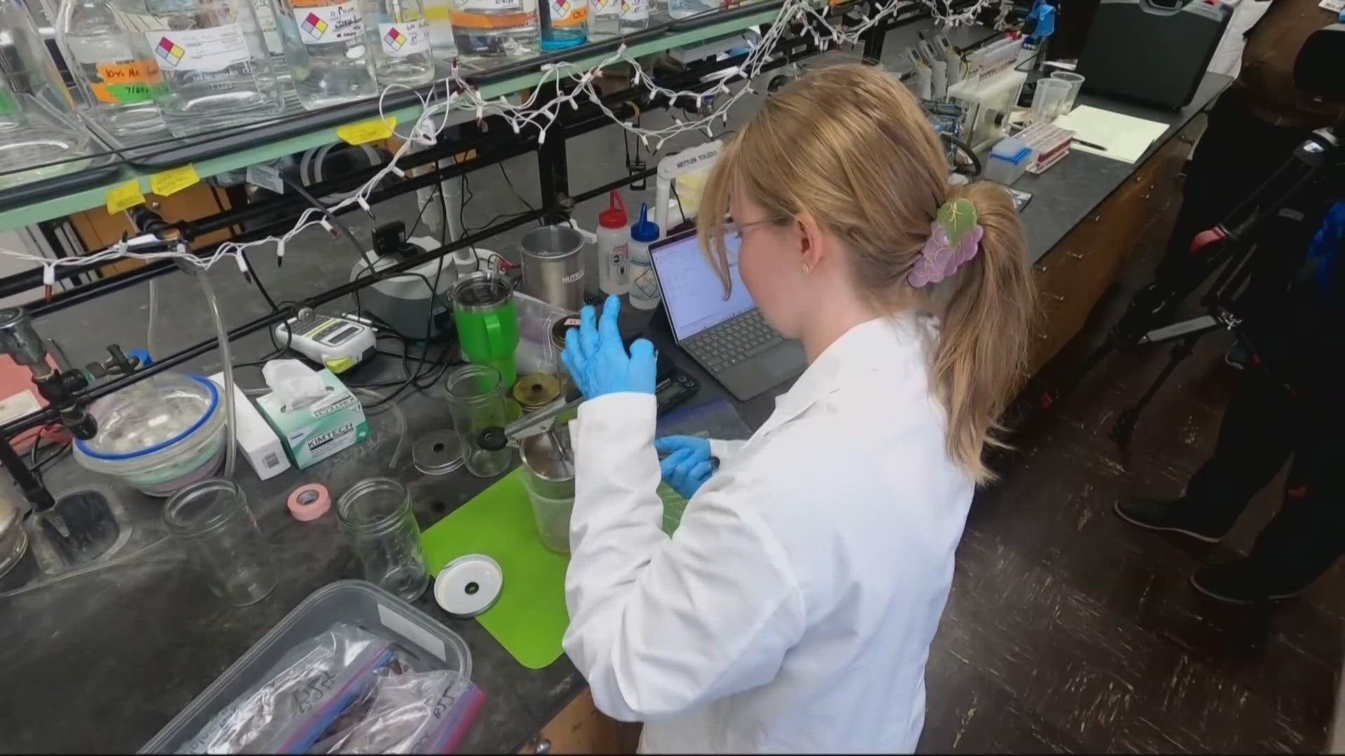 Protective spray may solve problem of wildfire-smoke tainted grapes ...