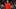 Trail Blazers reportedly narrow coaching search to 3 finalists from 5 ...