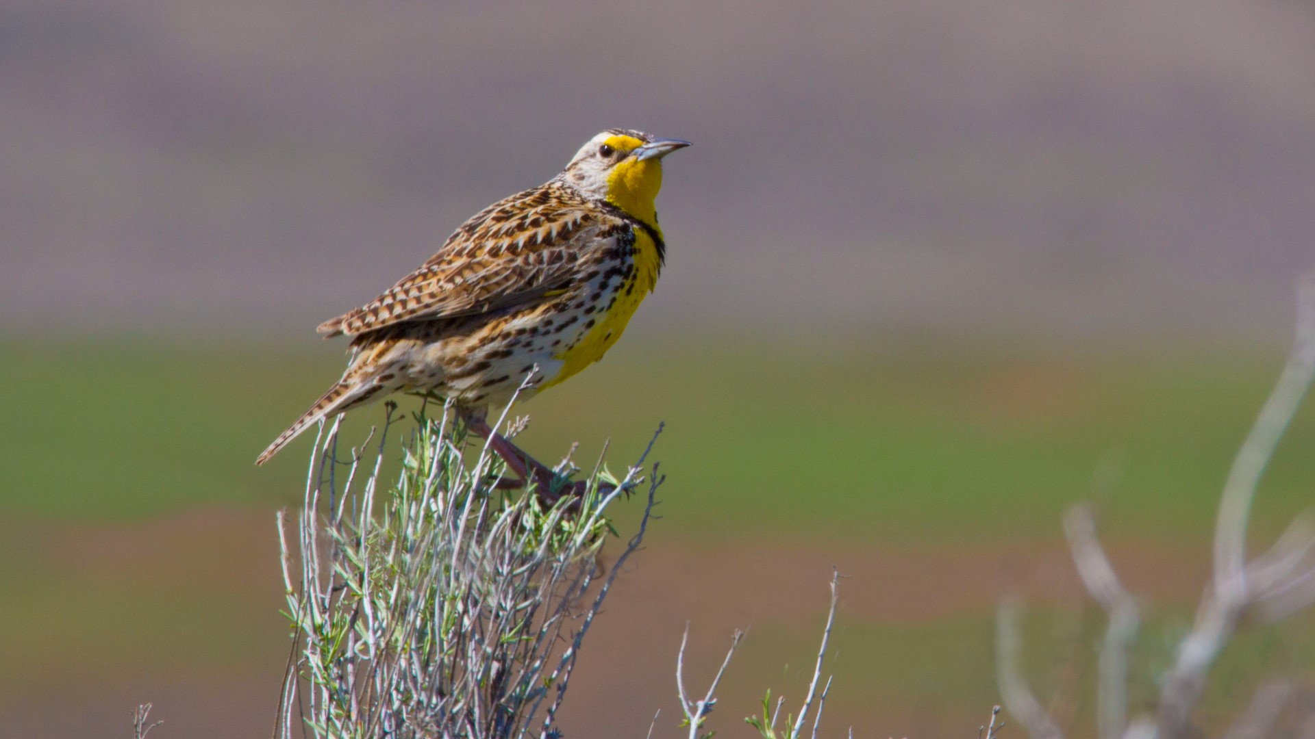 Exploring Oregon's backroad byways from mountains to waterfalls | kgw.com