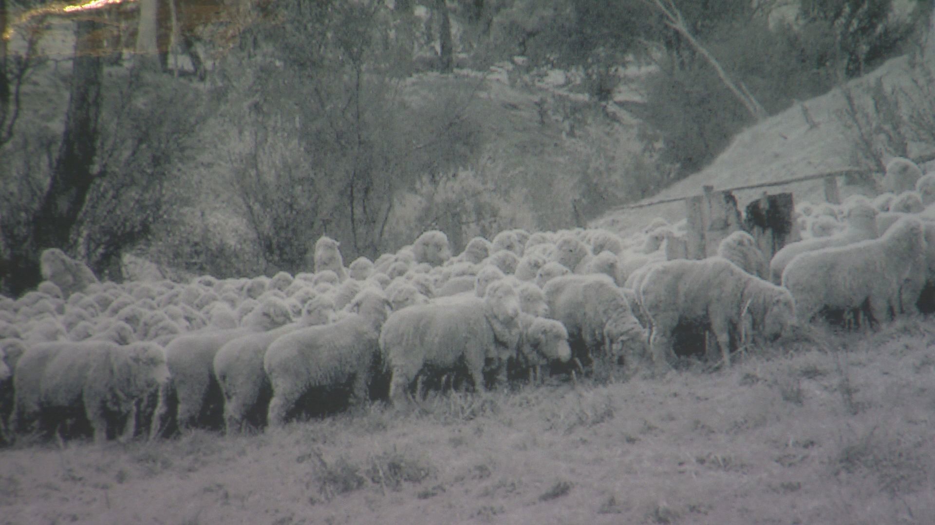 Oregon's famous ghost town Shaniko revitalizes | kgw.com
