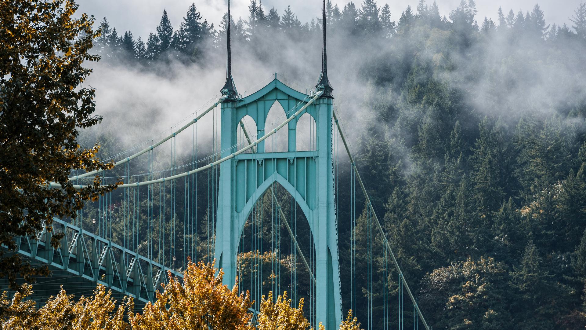 Watch | KGW8 Live and On-Demand Videos | Portland, Oregon | kgw.com