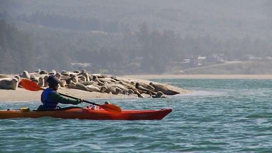 Grant's Getaways: The Perfect Paddle at Netarts Bay | kgw.com