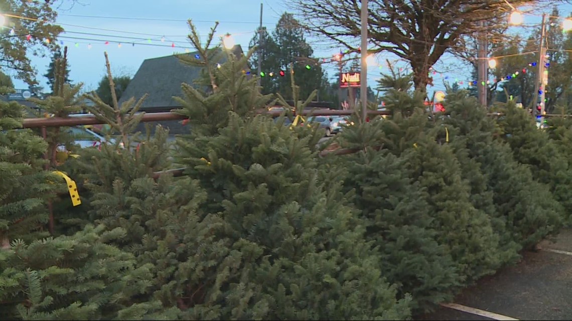 Christmas tree lot in SE Portland gears up for busy weekend | kgw.com