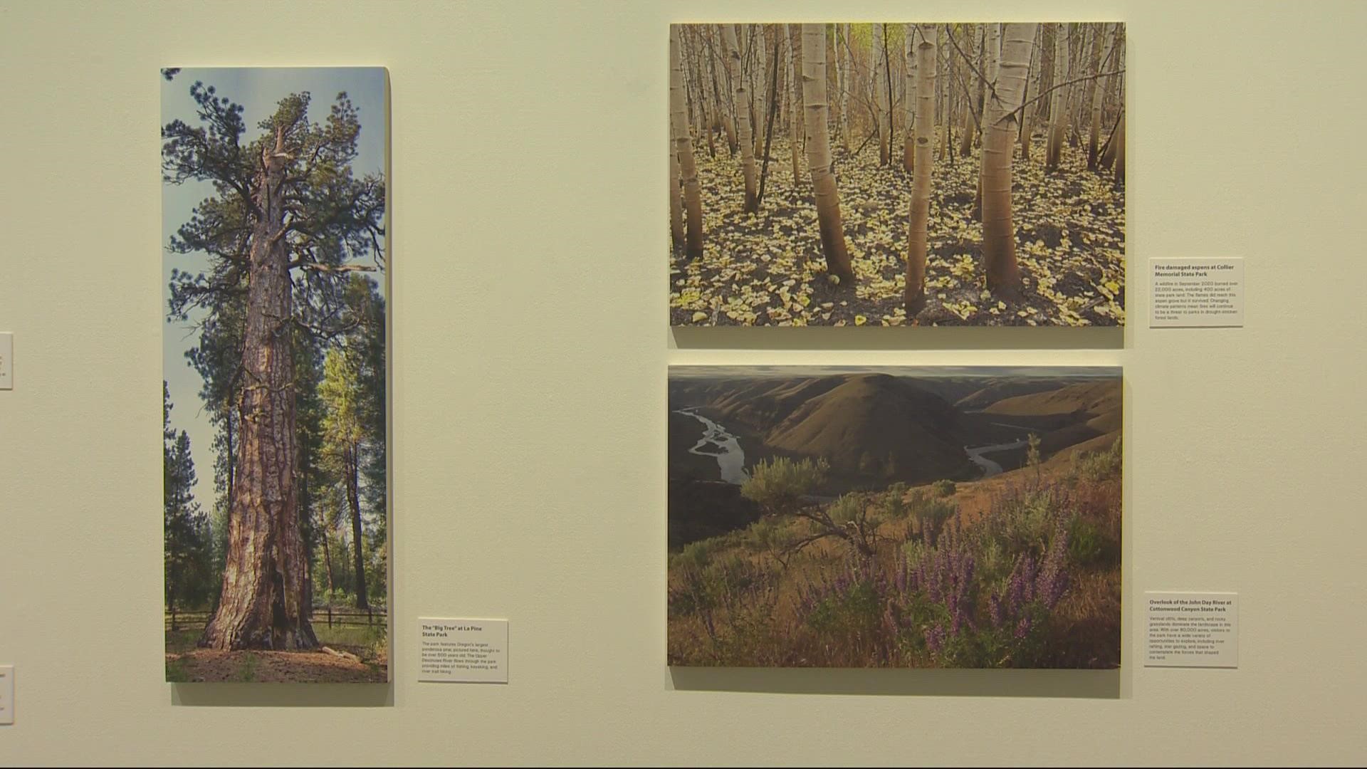 Oregon Historical Society celebrates 100 years of State Parks | kgw.com