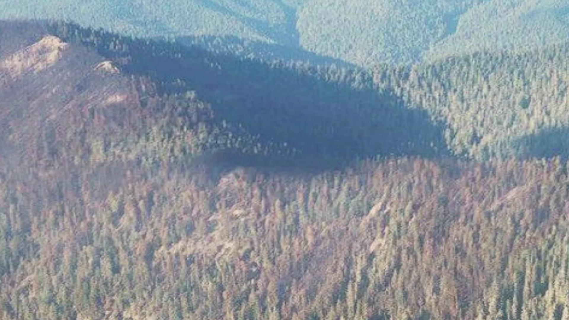Human remains found in Gifford Pinchot National Forest | kgw.com
