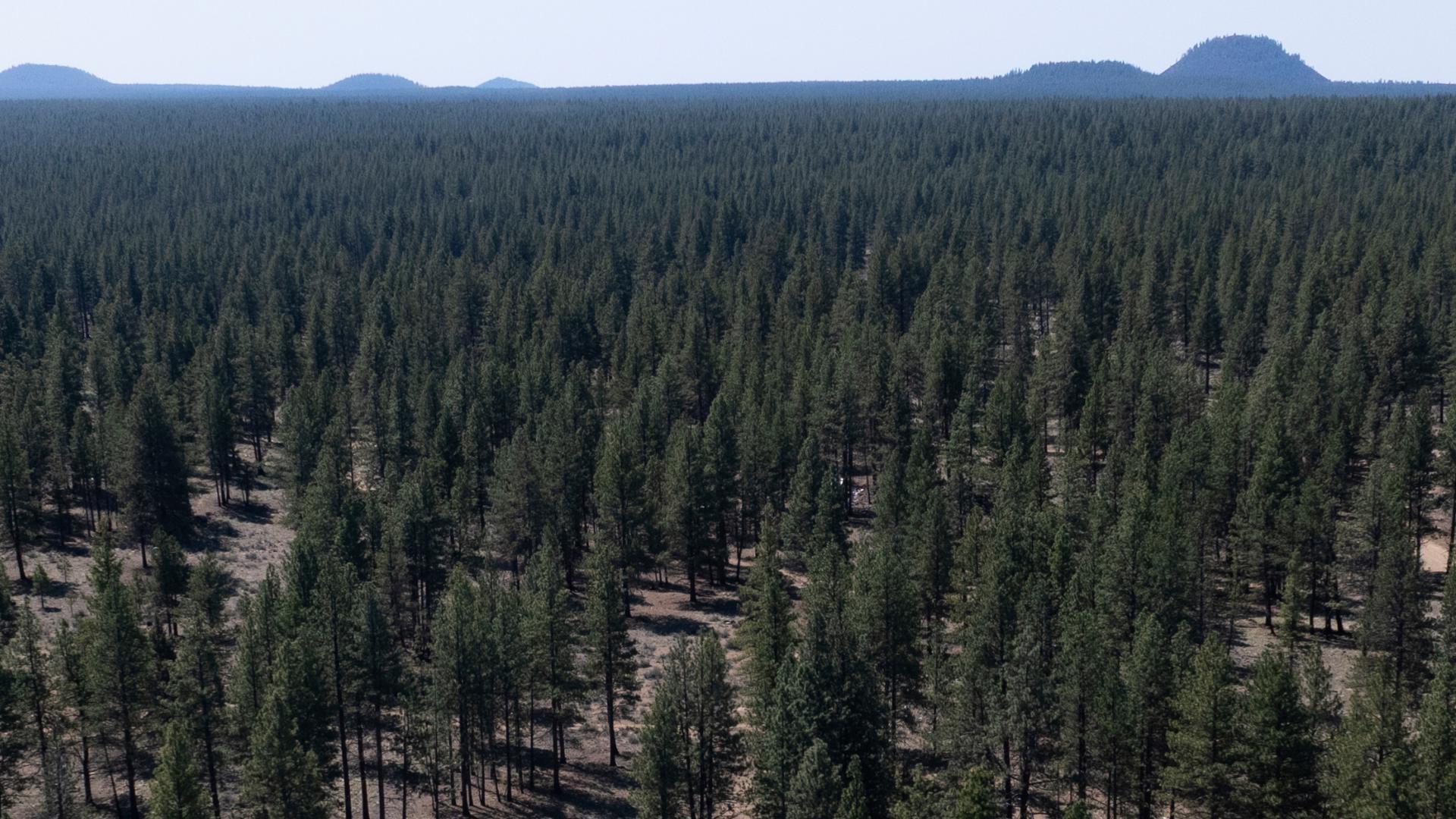 Meet the Oregon robot on the front line of future innovation | kgw.com