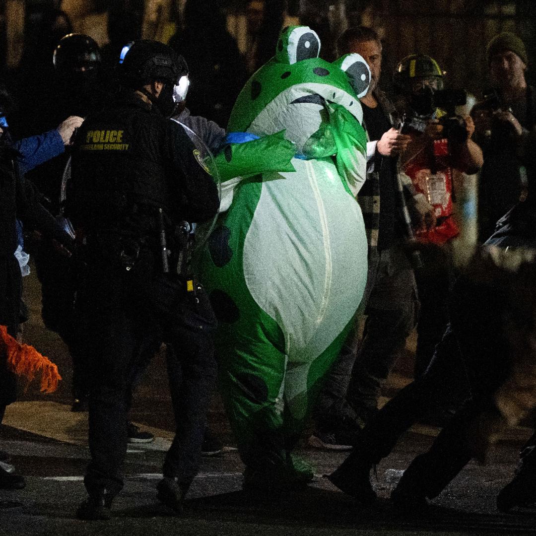 Anti-ICE protester's frog costume gains a reach well beyond the small ...