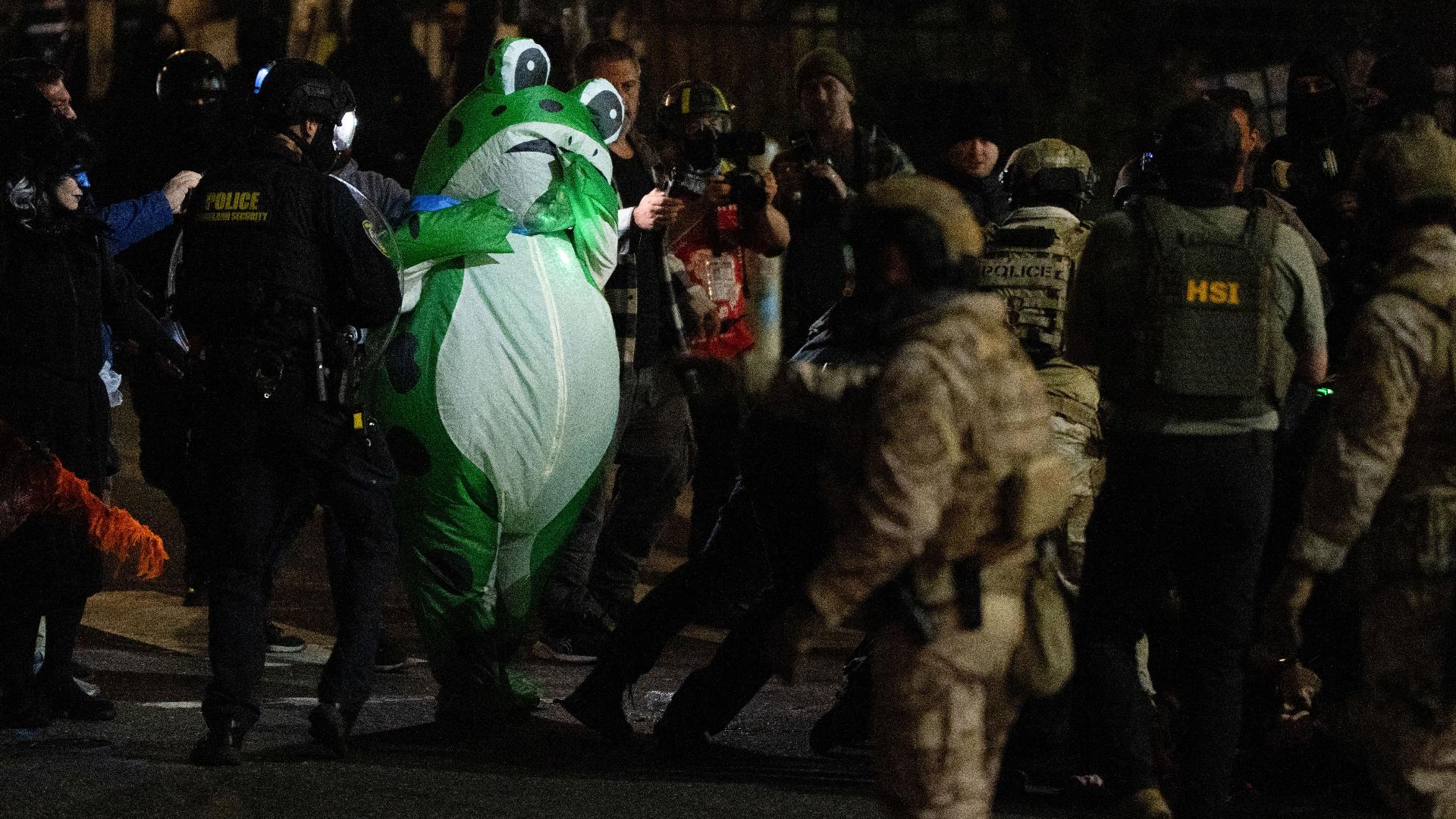 Anti-ICE protester's frog costume gains a reach well beyond the small ...