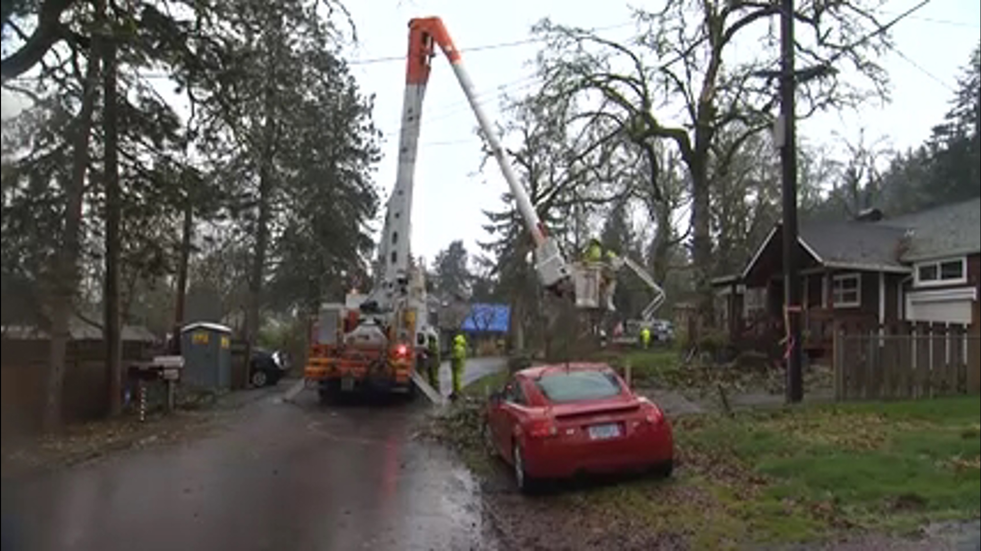 Portland Parks & Rec tackles nearly 80 tree emergencies from Monday's ...