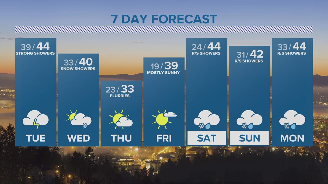 Photos: Portland's 1984 time capsule unearthed | kgw.com