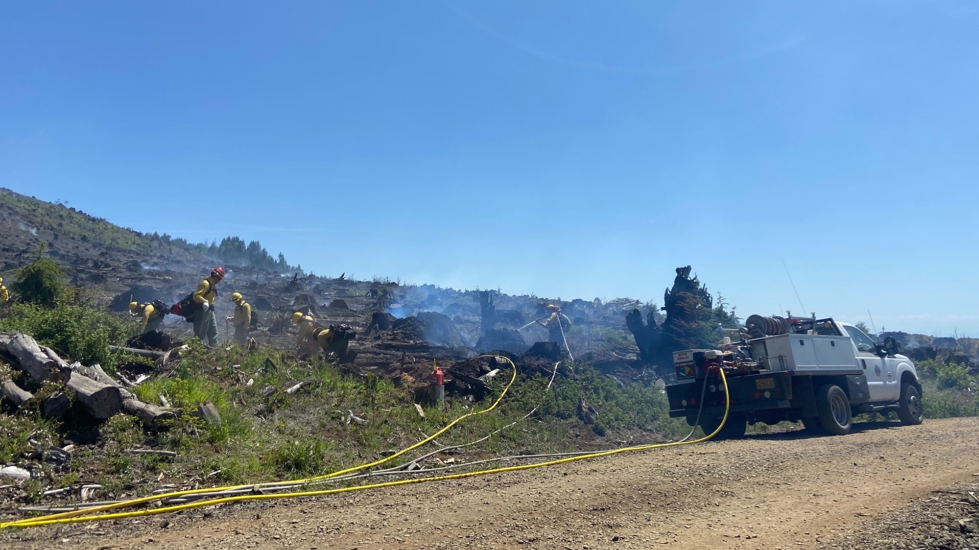 Wildfire burns 300 acres near Veneta | kgw.com