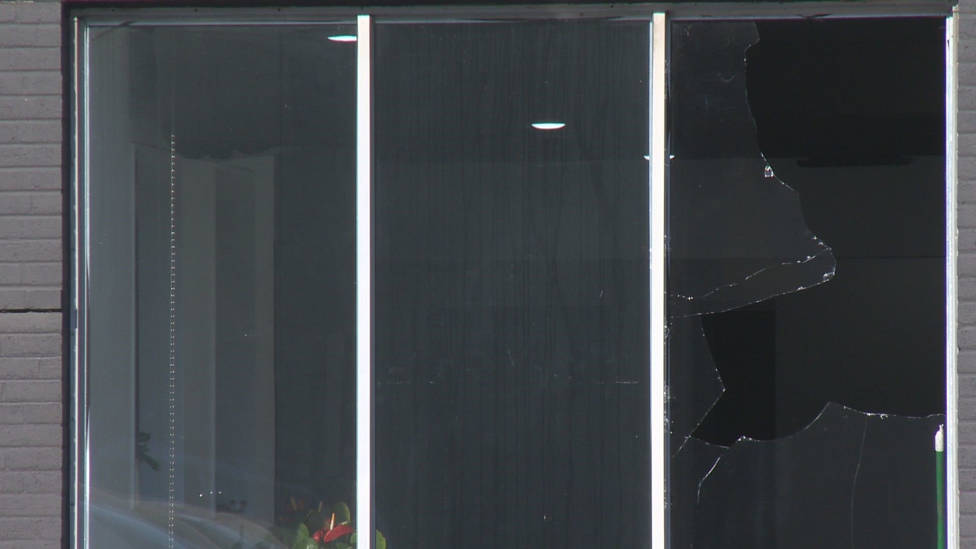 Man smashes windows at multiple businesses in downtown Portland | kgw.com