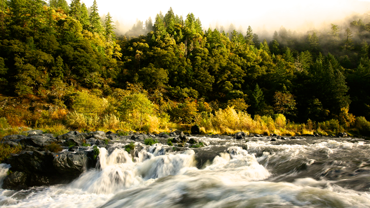 Rogue River basin almost full for 1st time in 3 years | kgw.com