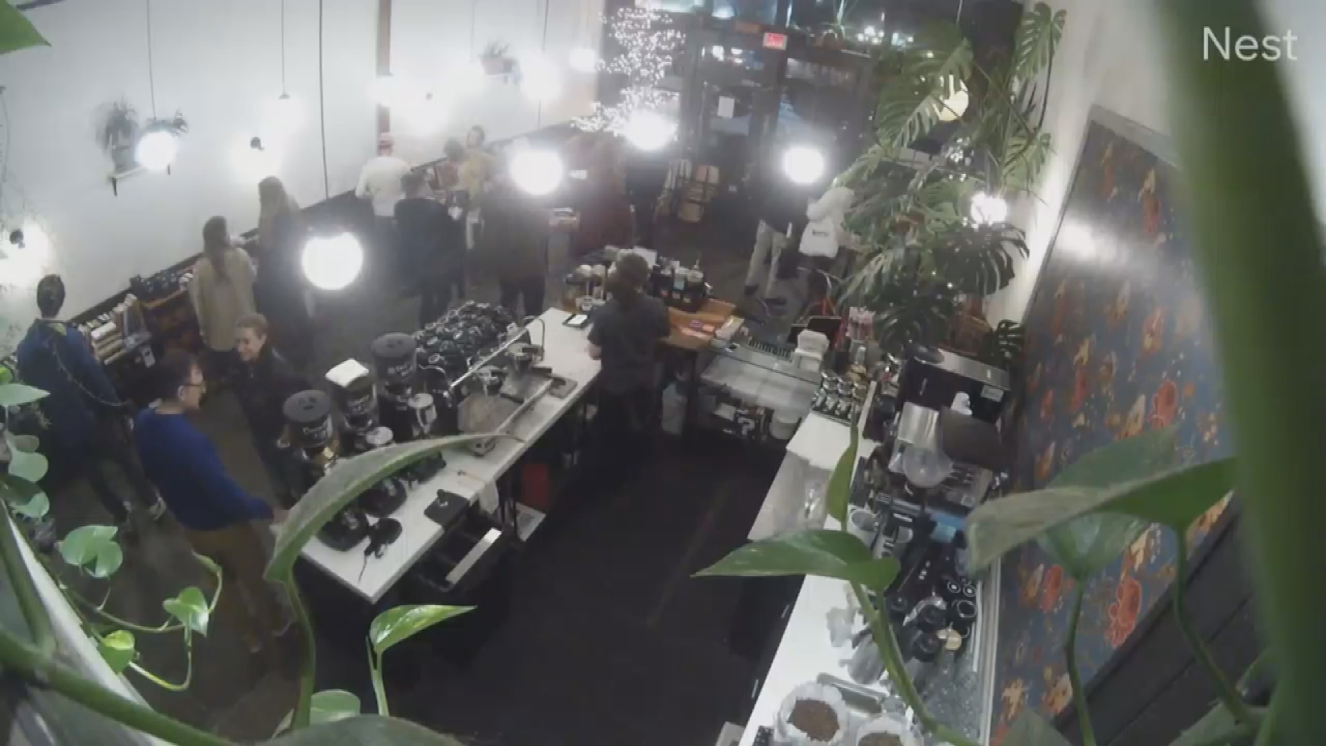 Fundraiser event for Portland barista, the victim of a car break-in ...