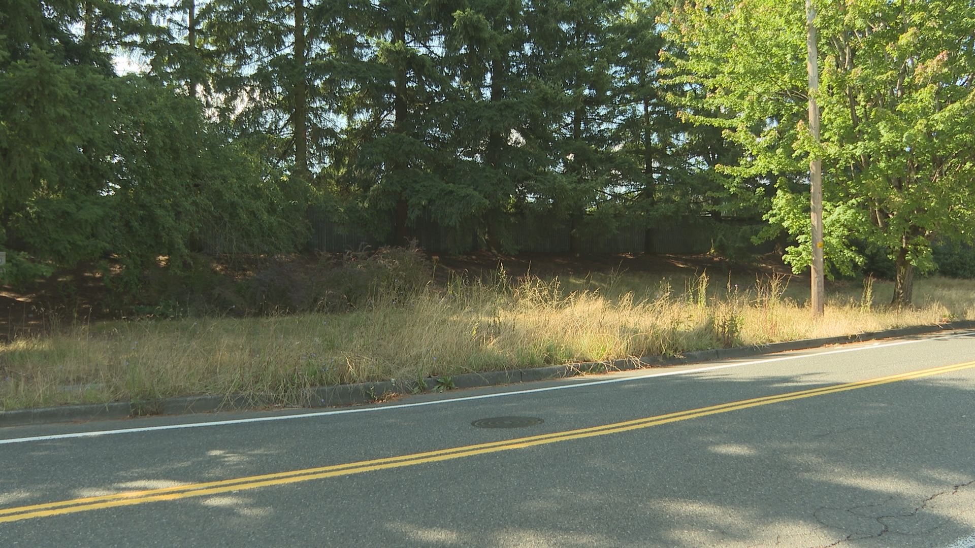 Dead body found in Northeast Portland, police say | kgw.com