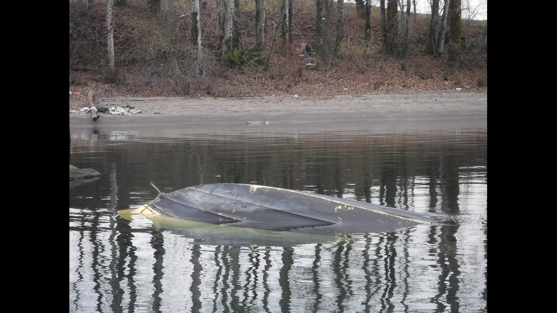 Transient boats now populating, sinking in Columbia River | kgw.com