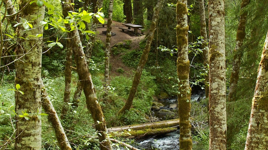 Exploring a rare gem park in Western Oregon | kgw.com