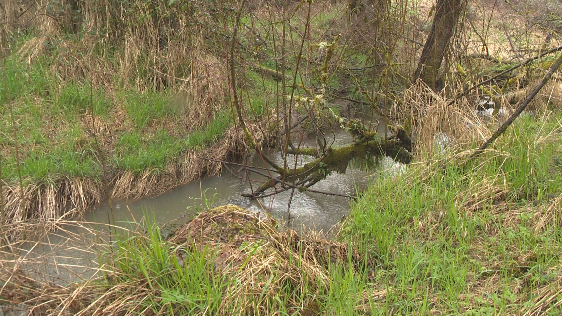 Portland snow | Interactive radar for the Portland metro area | kgw.com