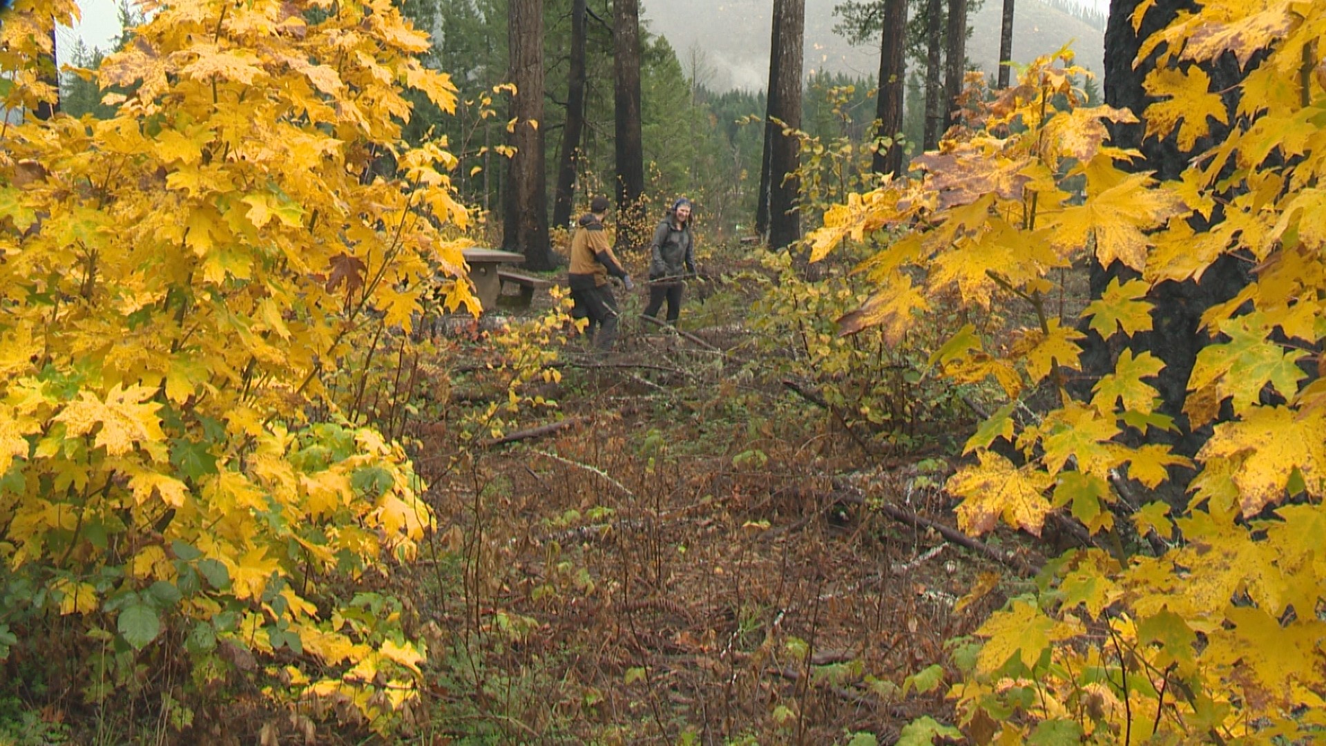 Marion County's Minto Park may reopen in a few weeks | kgw.com