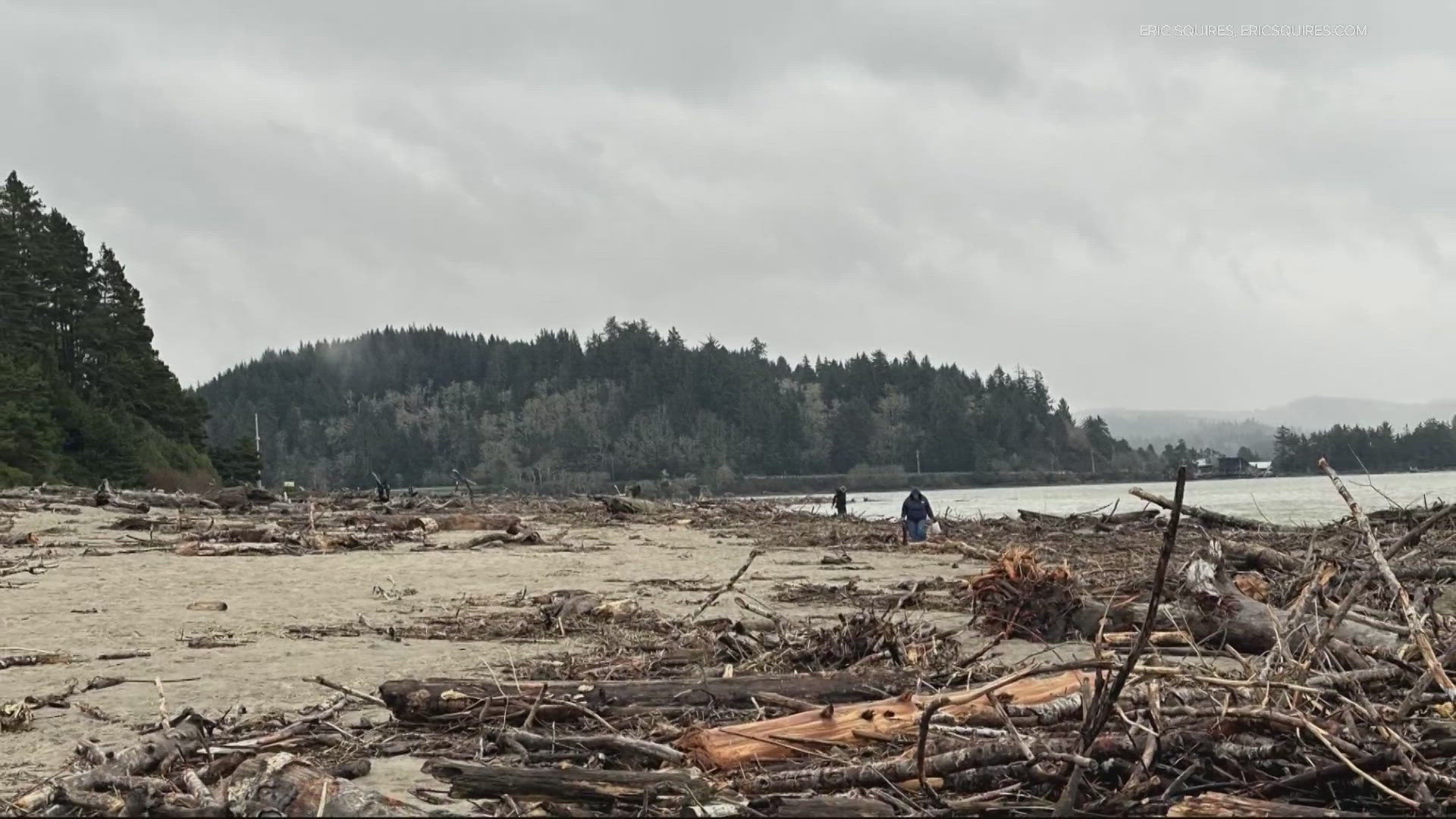 Tim Walz, Democrats' 2024 VP candidate, won't run for a third term as ...