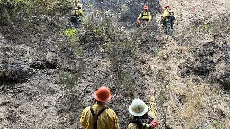 Wildfire near Vernonia prompts evacuation orders | kgw.com