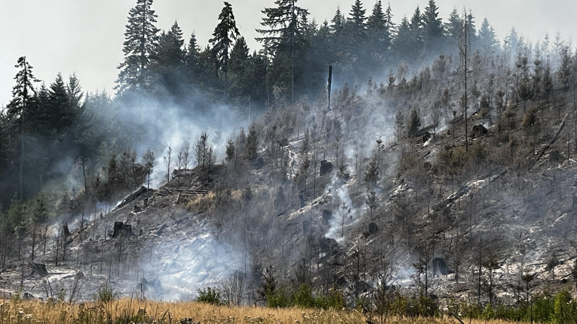 Lee Falls Fire near Hagg Lake forces Level 3 (Go Now) evacuations | kgw.com