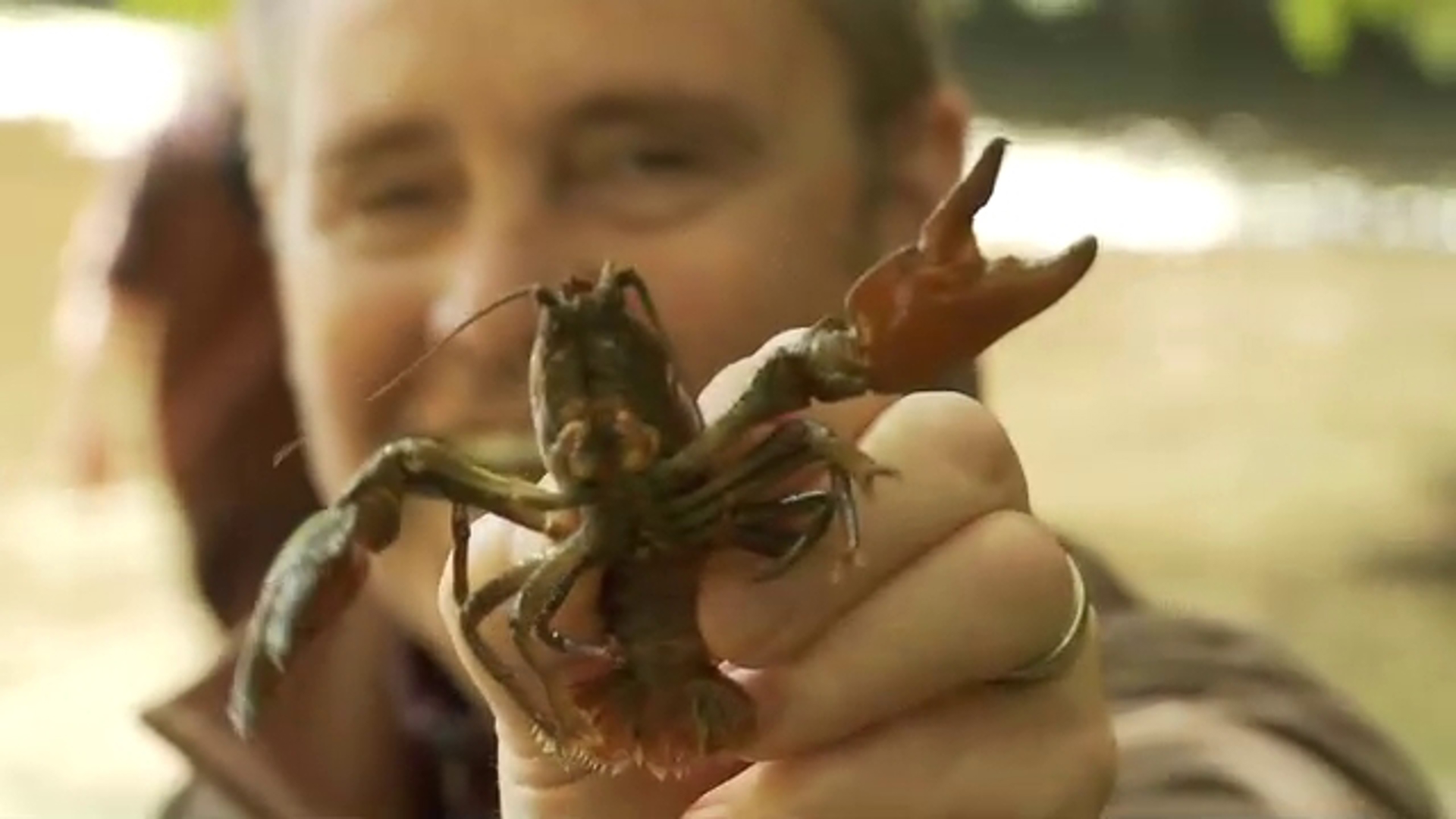 Camping on Trask River in Oregon Coast Range | kgw.com