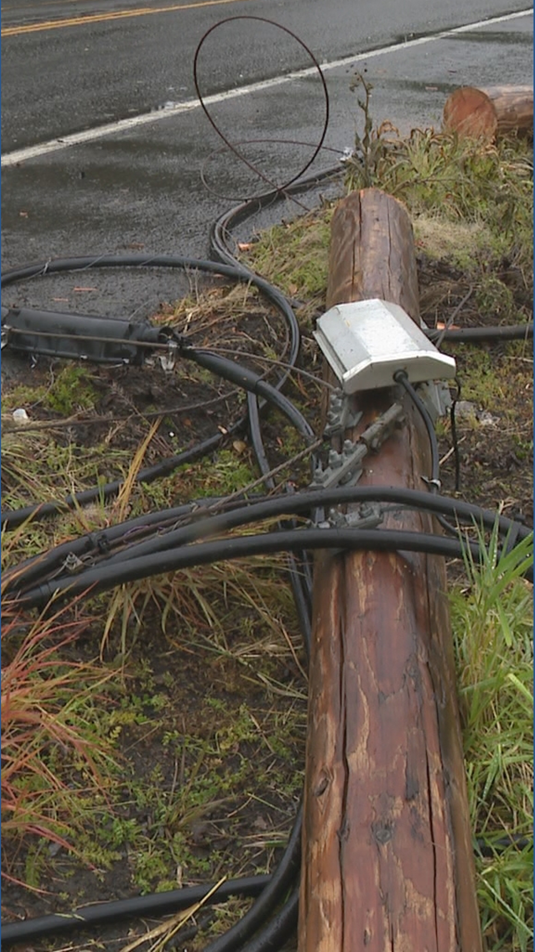 Police: Utility poles in NE Portland 'intentionally' cut | kgw.com
