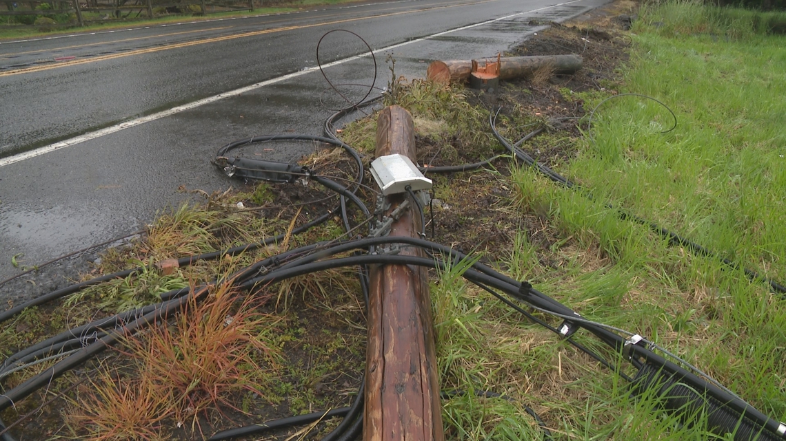 Police: Utility poles in NE Portland 'intentionally' cut | kgw.com