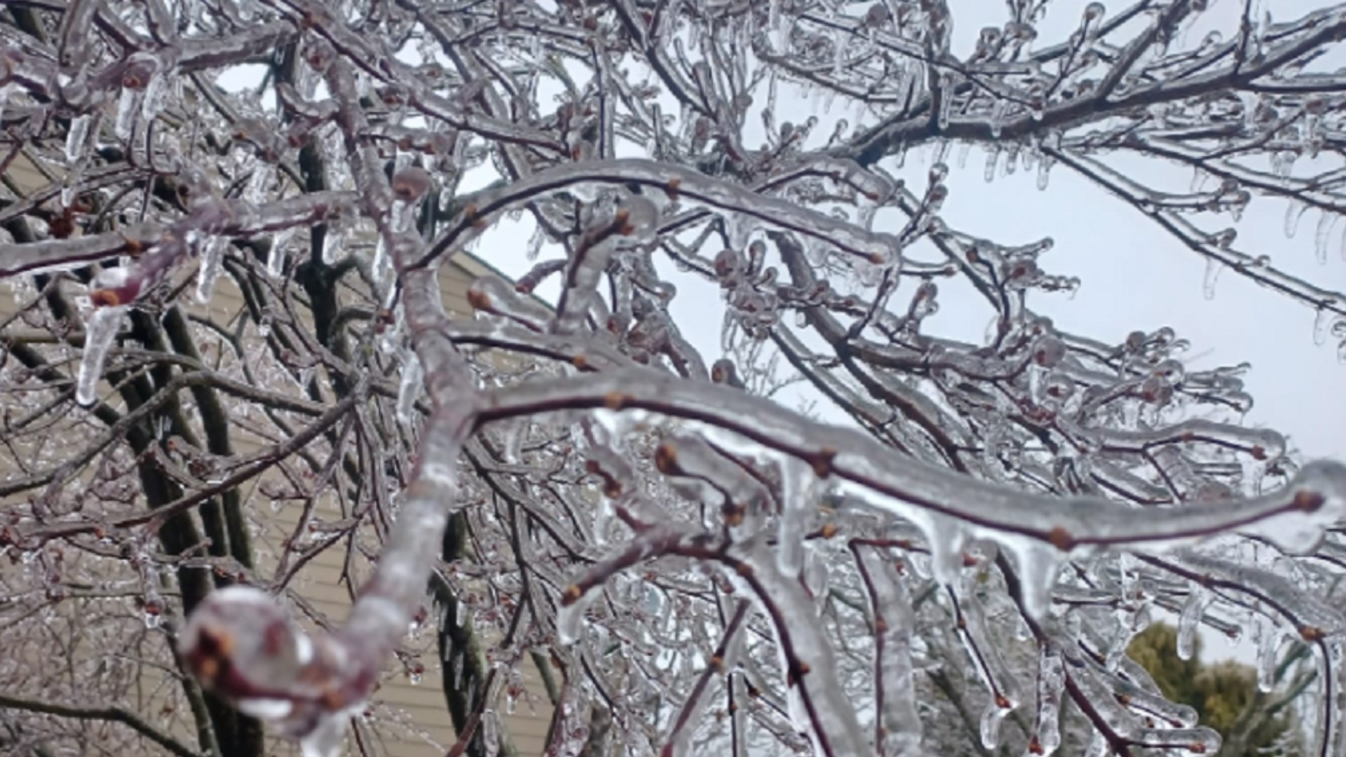 Photos: Oregon ice storm brings freezing rain, sleet to Portland | kgw.com