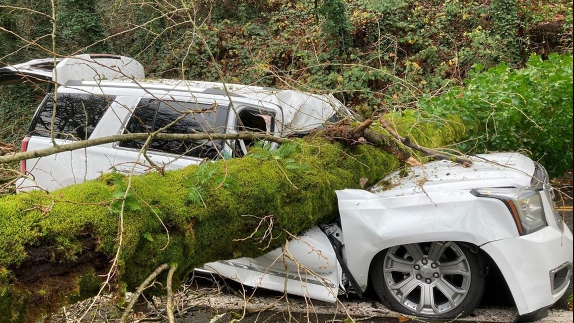 Driver uninjured after tree smashes onto SUV | kgw.com