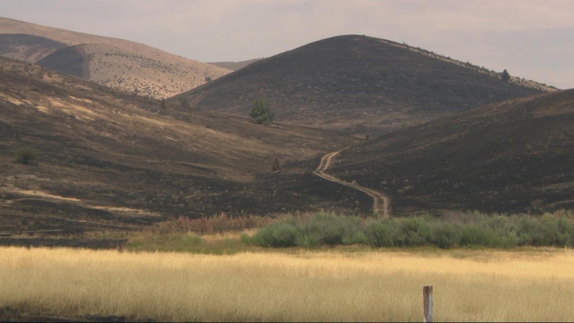 Larch Creek Fire evacuations lowered around Tygh Valley | kgw.com