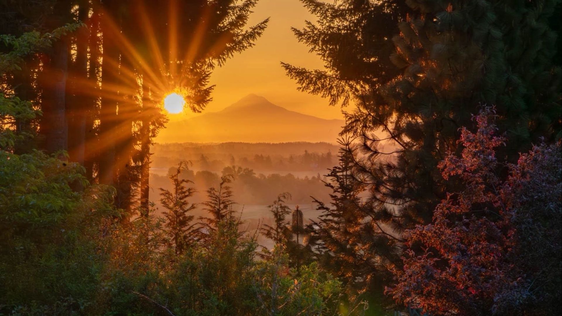 Near Me | kgw.com