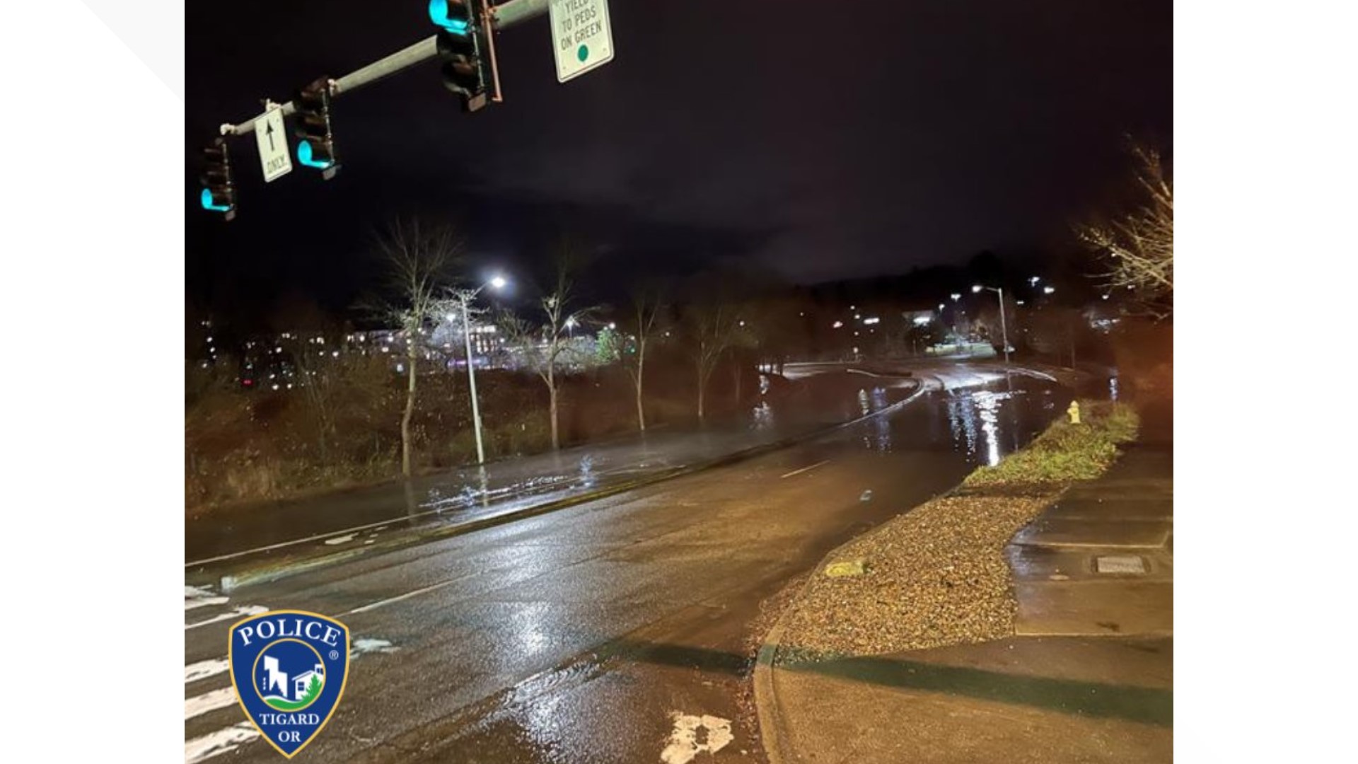 Portland grapples with flooding and downed trees citywide | kgw.com