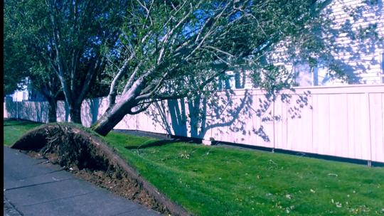 High Wind Warning in effect for NW Oregon, SW Washington | kgw.com