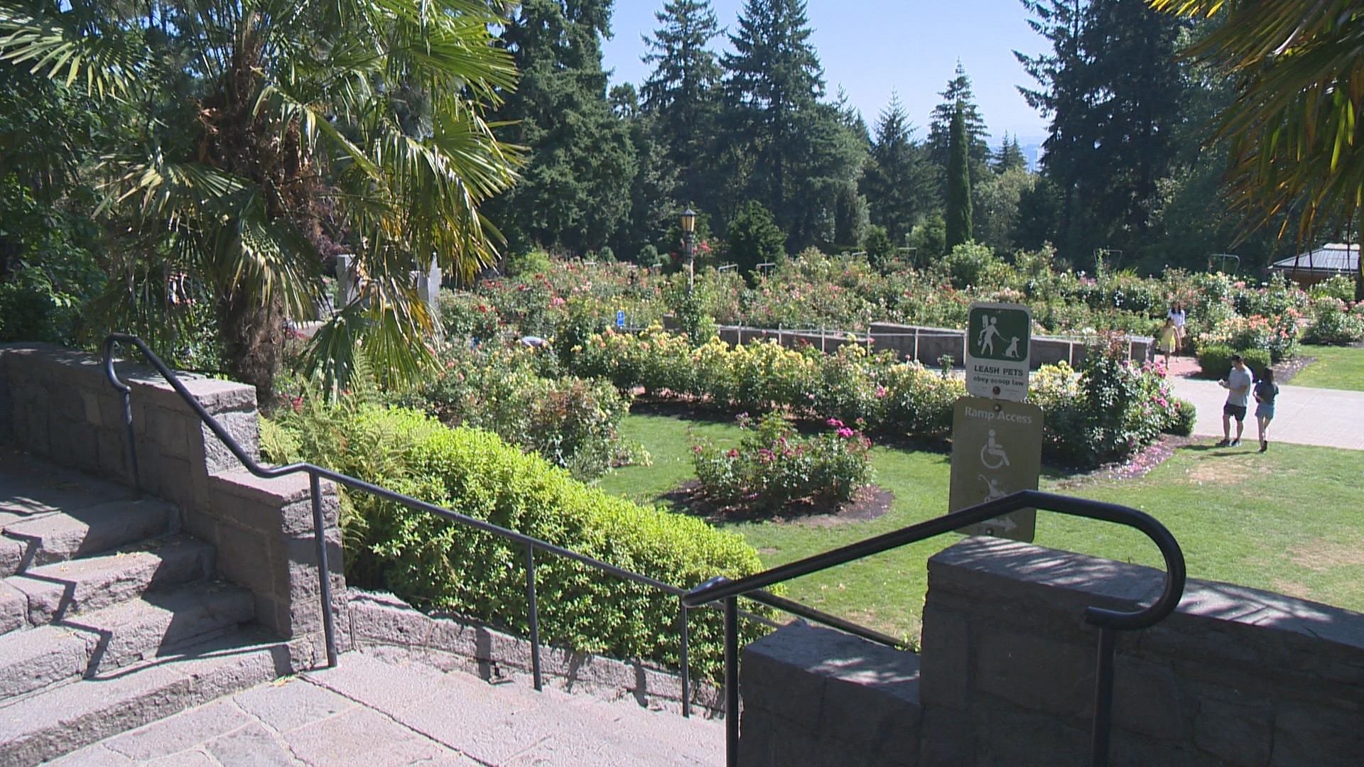 Explore Washington Park | Let's Get Out There | kgw.com