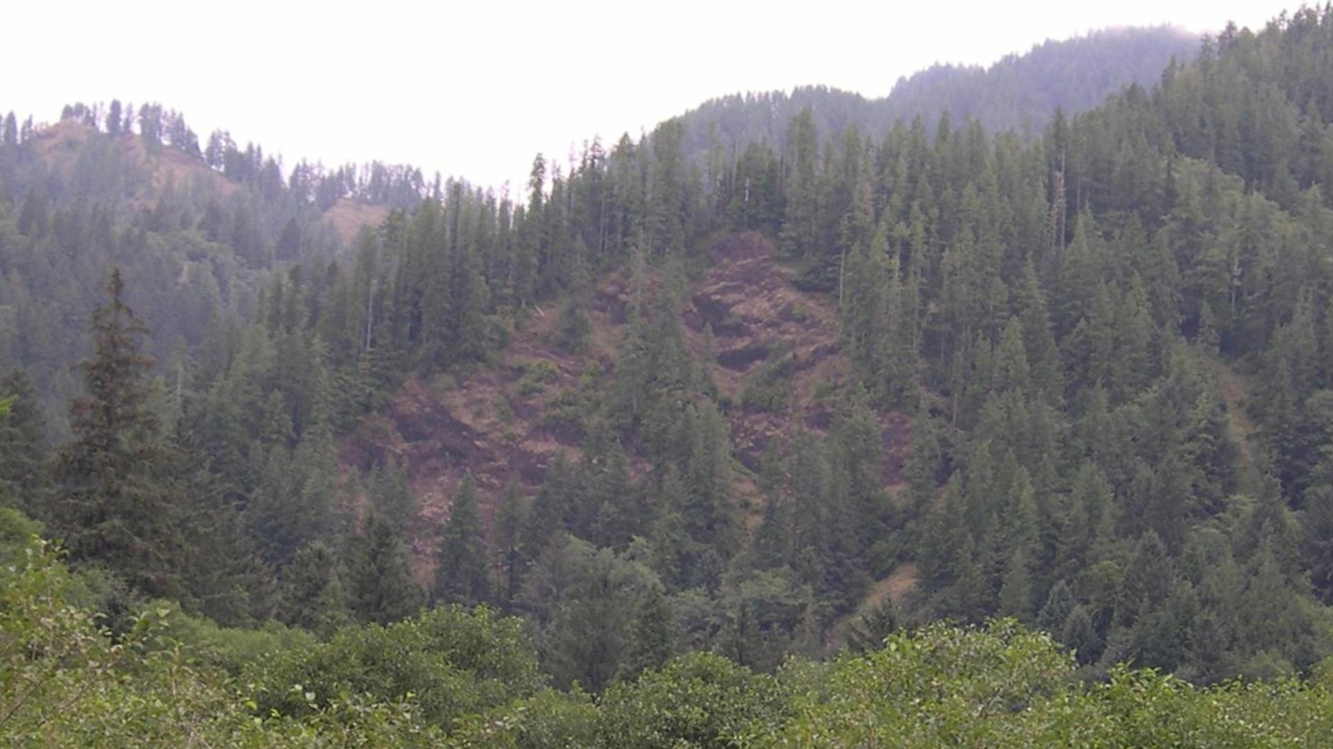 Camping on Trask River in Oregon Coast Range | kgw.com