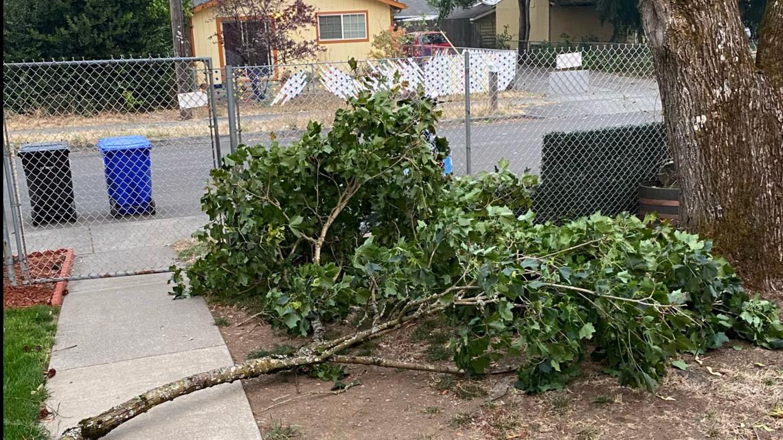 High Wind Warning in effect for NW Oregon, SW Washington | kgw.com