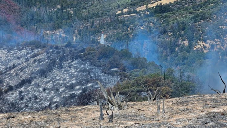 FEMA grants funds for Upper Applegate Fire in southern Oregon | kgw.com