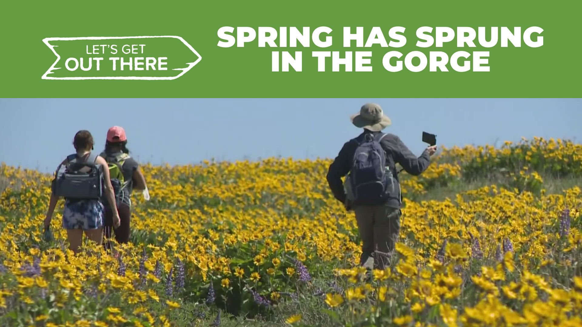 Trail in Columbia River Gorge offers views of blooming wildflowers ...
