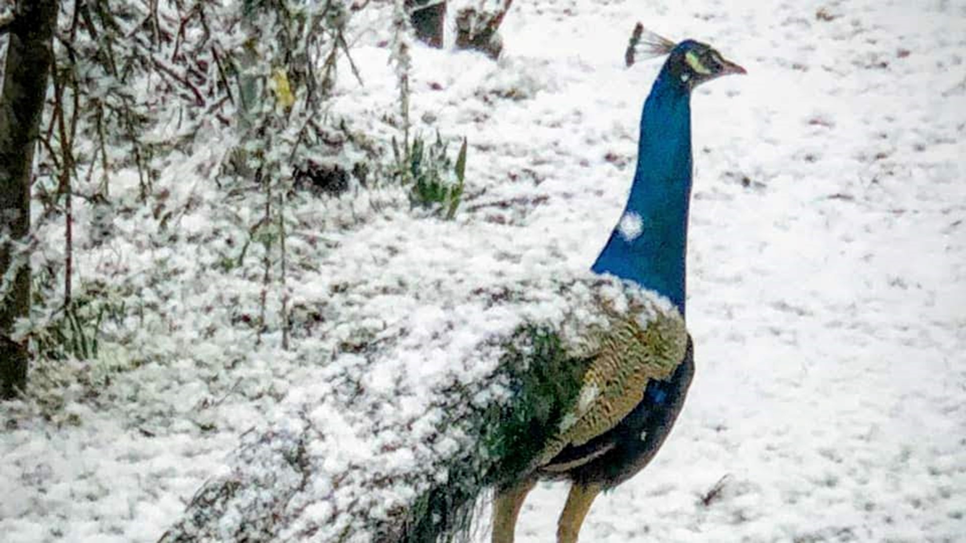 Reporter Notebook: Icy Tuesday morning | kgw.com