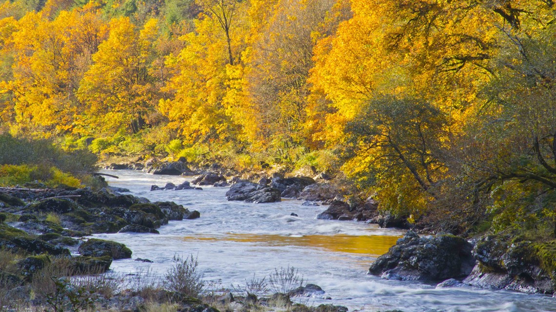 Take in fall foliage along Oregon's Lower Nehalem River | kgw.com