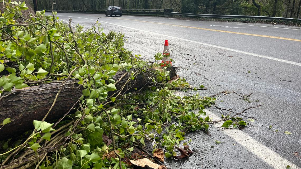 Thousands still without power in Portland metro after heavy windstorm ...